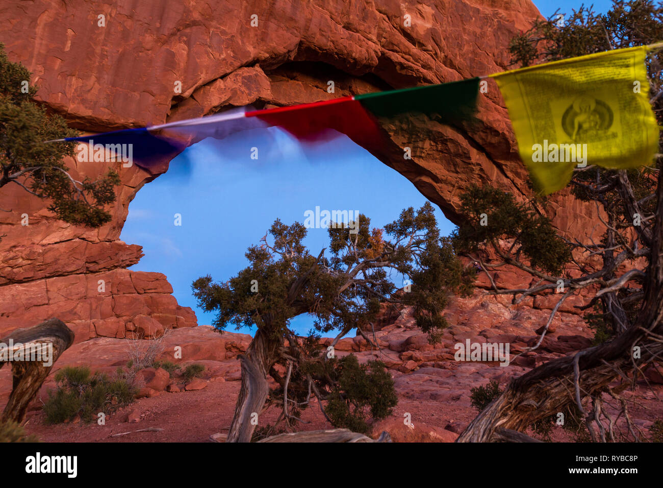 Colorful prayer flags blowing in the wind tied to a tree at the base of ...