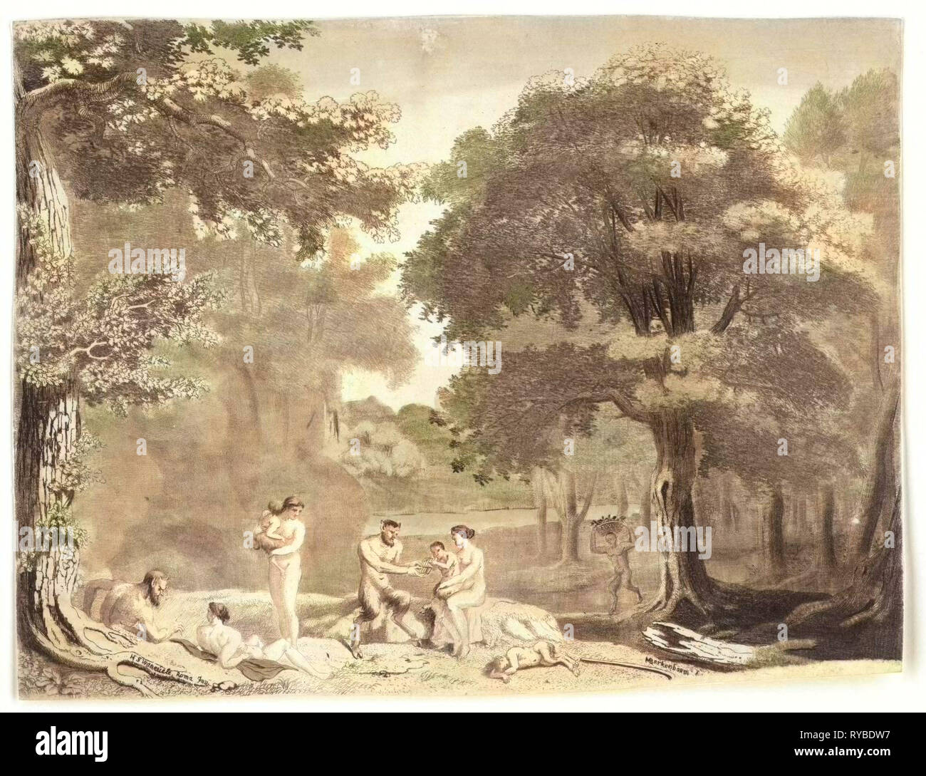 Forest Nymph Oil Group