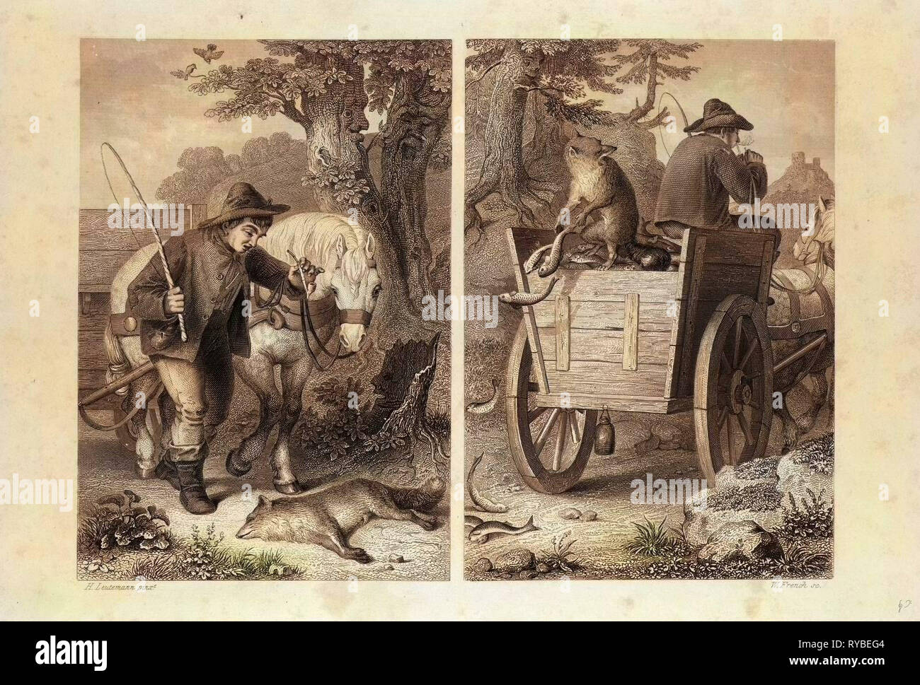 Reynard fish hi-res stock photography and images - Alamy