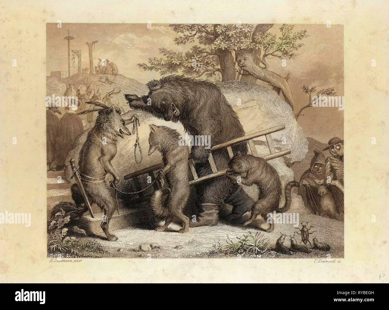 Roman execution animal hi-res stock photography and images - Alamy