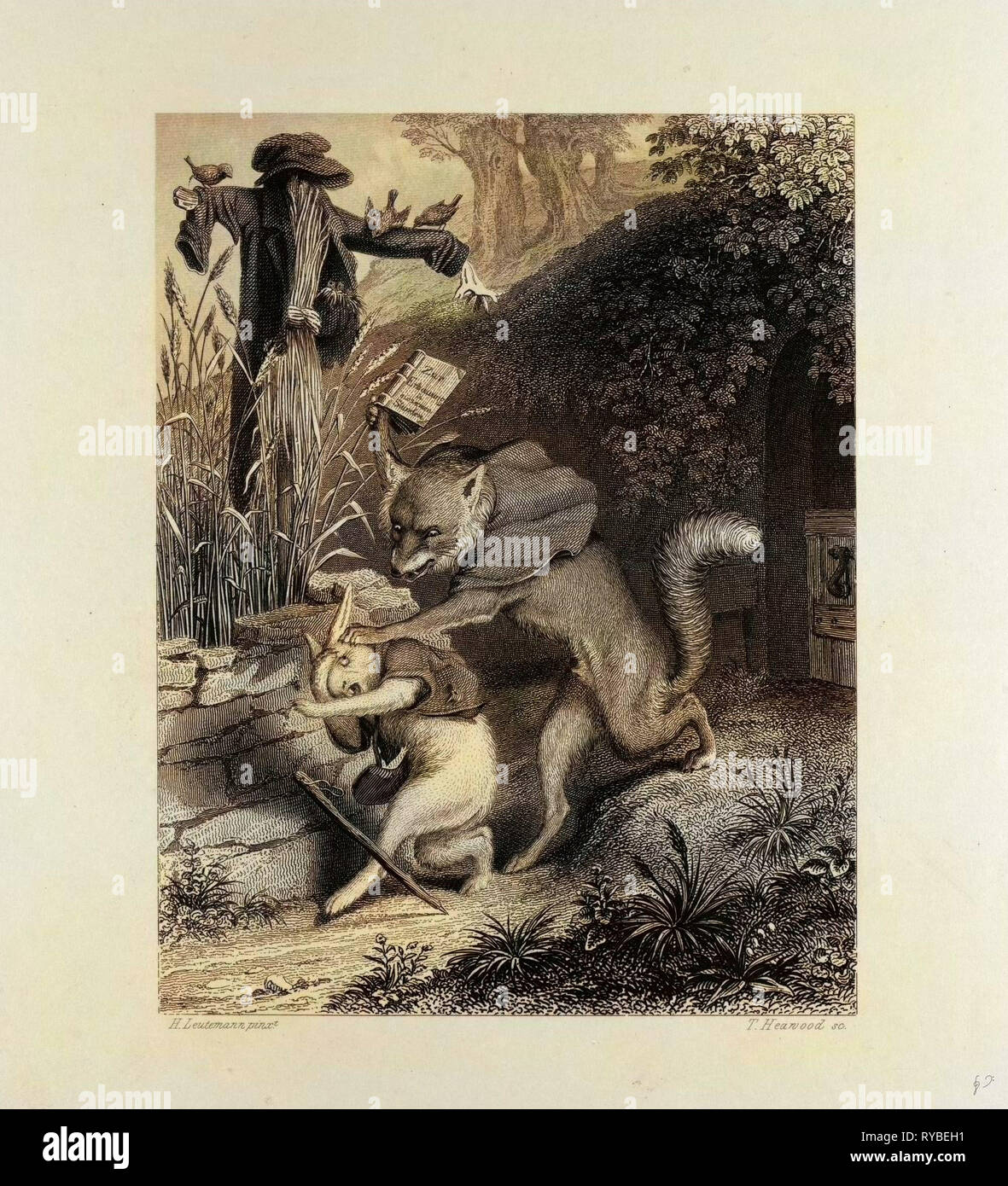 Reynard image hi-res stock photography and images - Alamy