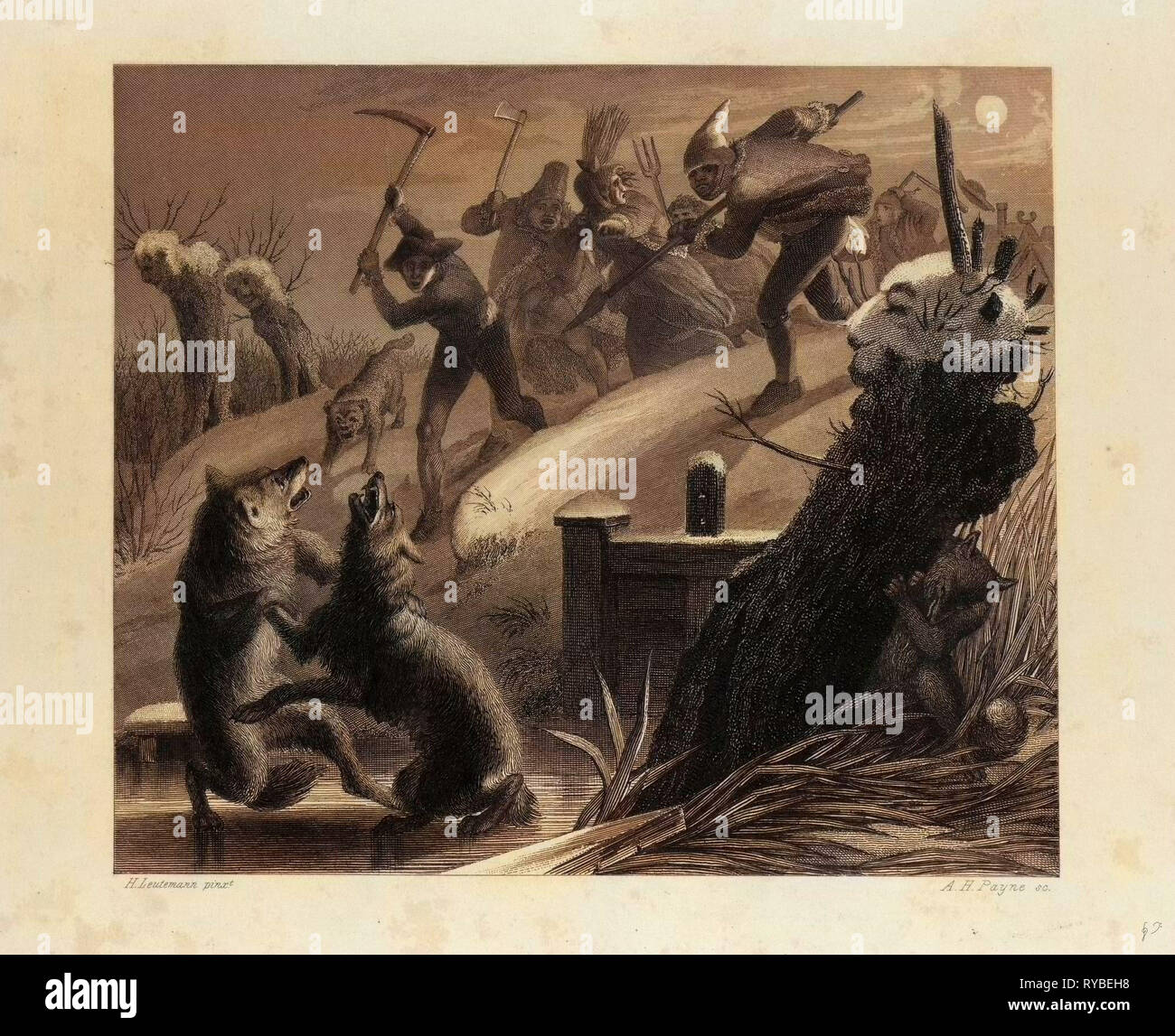 History of wolves hi-res stock photography and images - Alamy