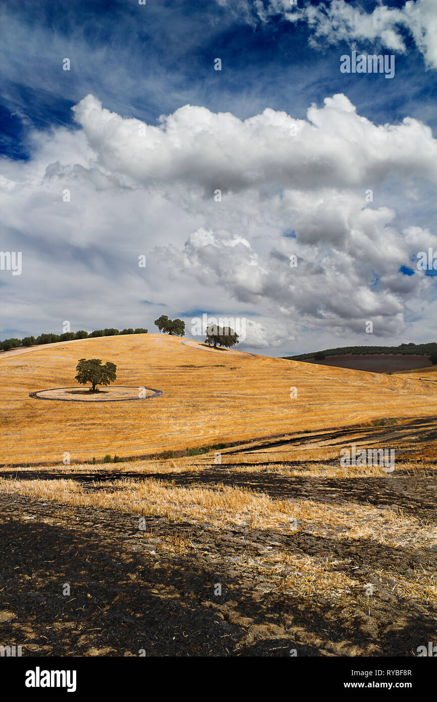 Campos quemados hi-res stock photography and images - Alamy