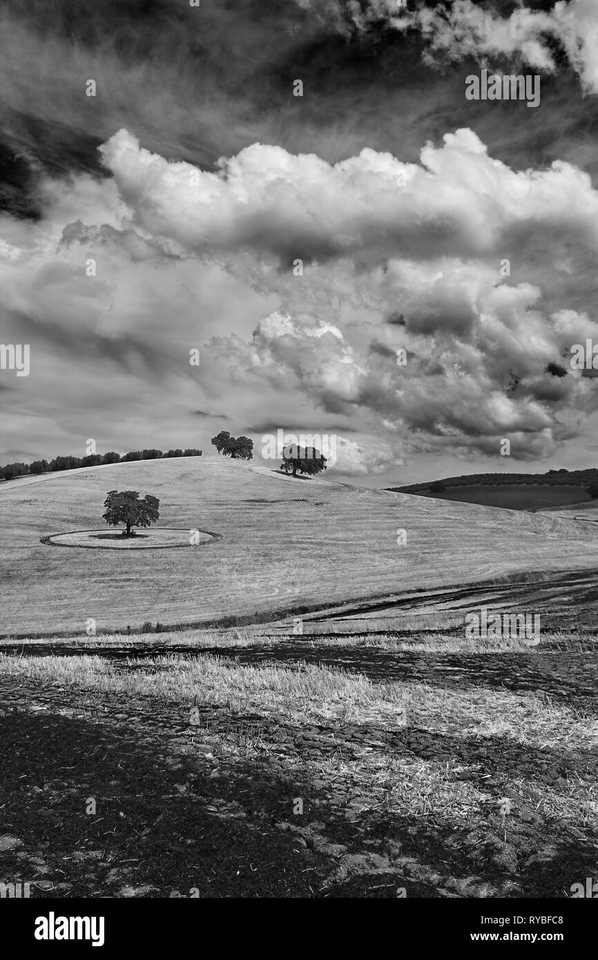 Campos quemados hi-res stock photography and images - Alamy