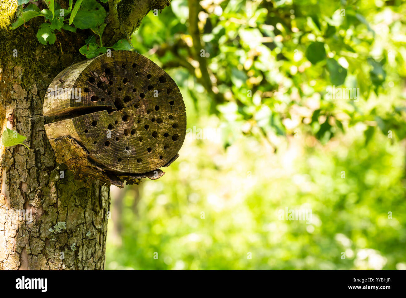 Man-made insect hotel in a green forest. A structure created from ...