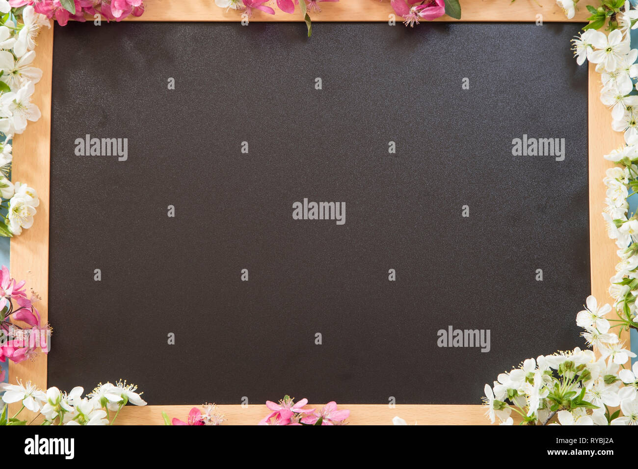 Blackboard with the spring flowers Stock Photo - Alamy