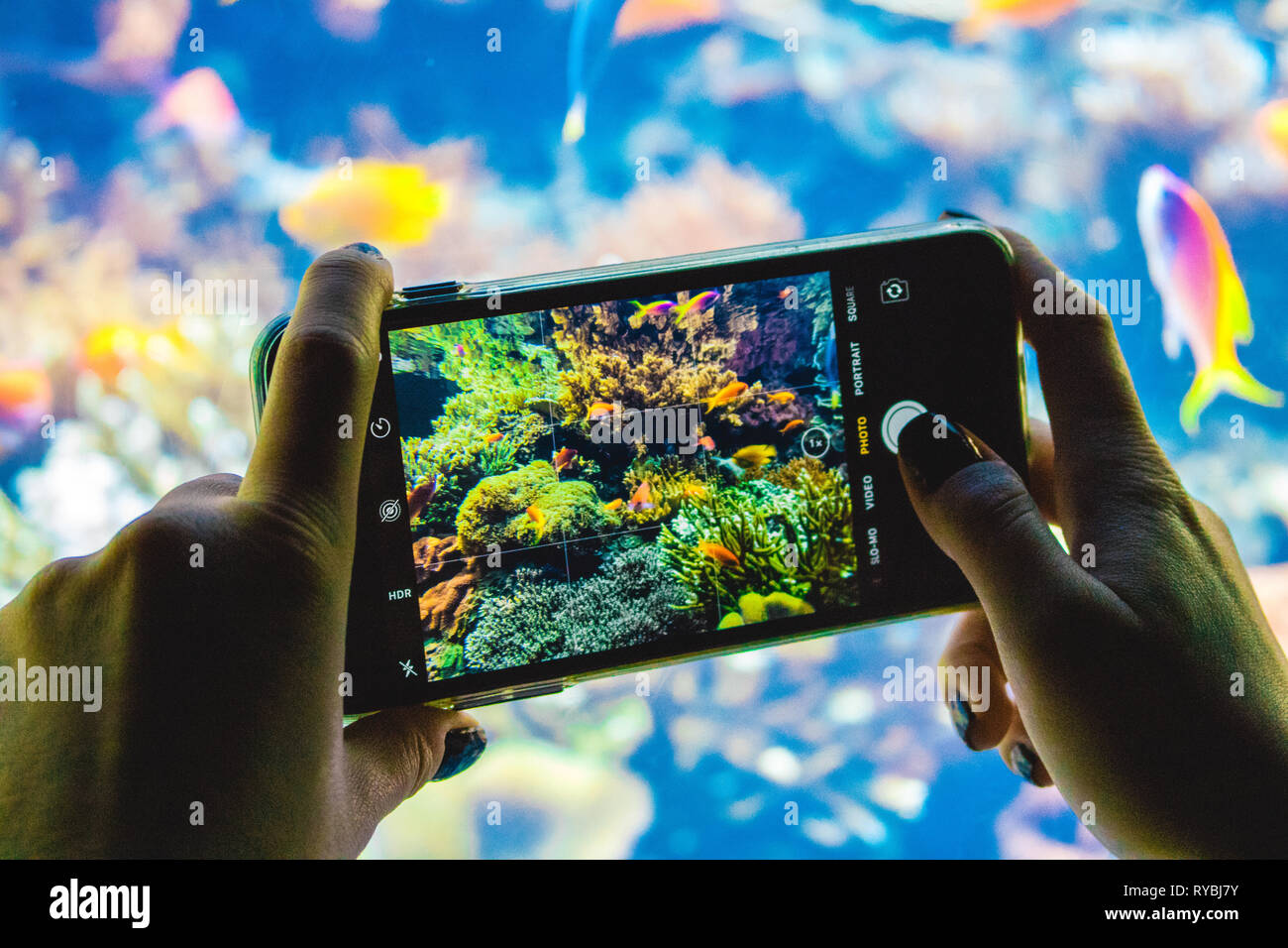 Taking picture with iphone hi-res stock photography and images - Alamy