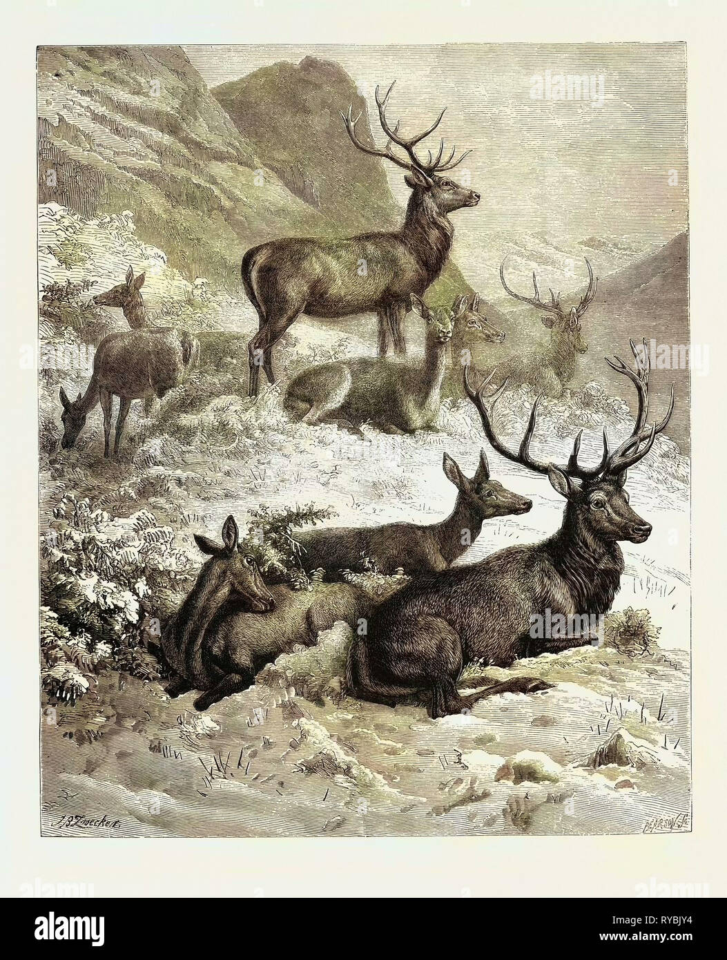 Victorian highlands hi-res stock photography and images - Alamy