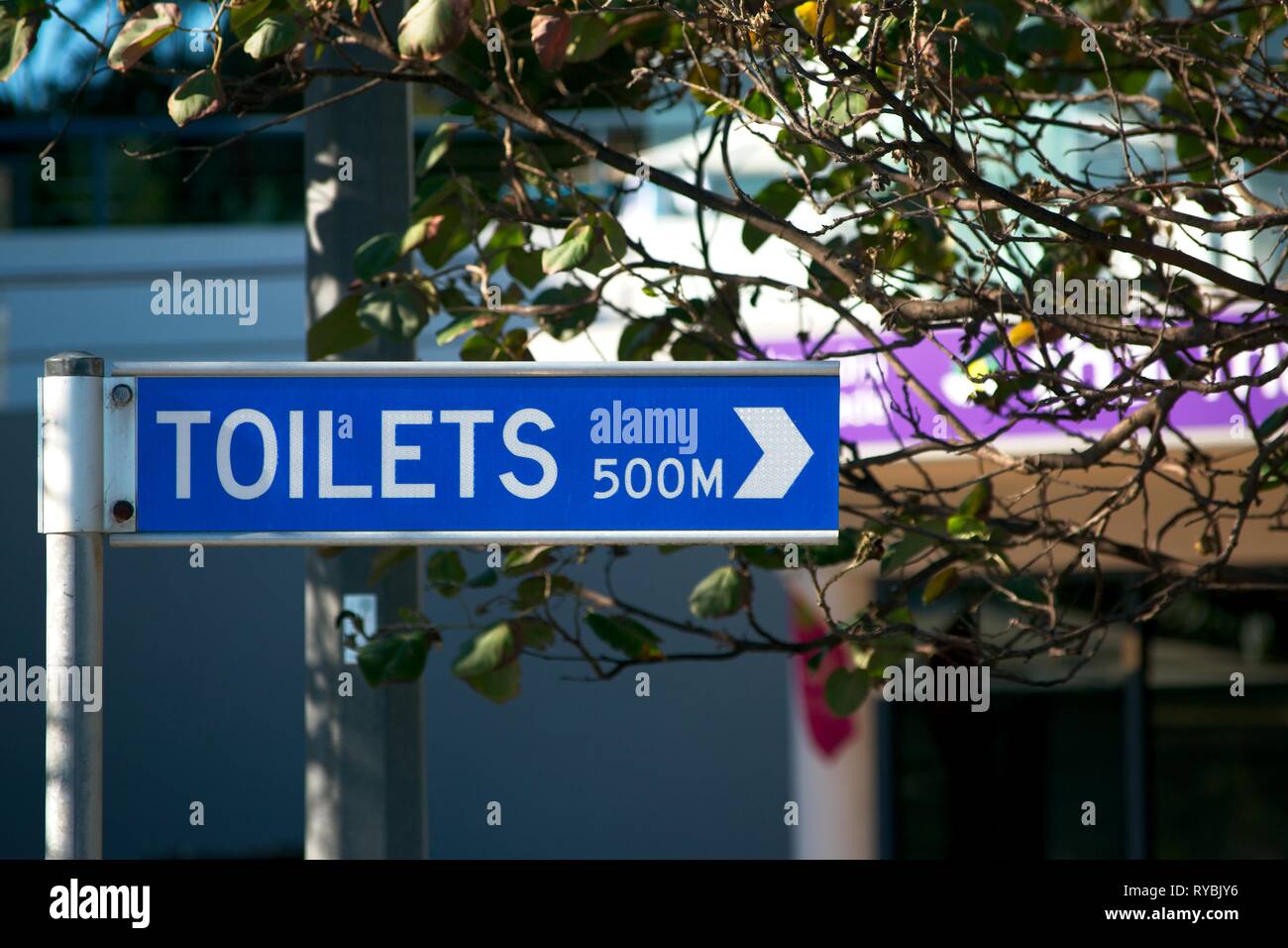 Toilet sign arrow direction hi-res stock photography and images - Alamy