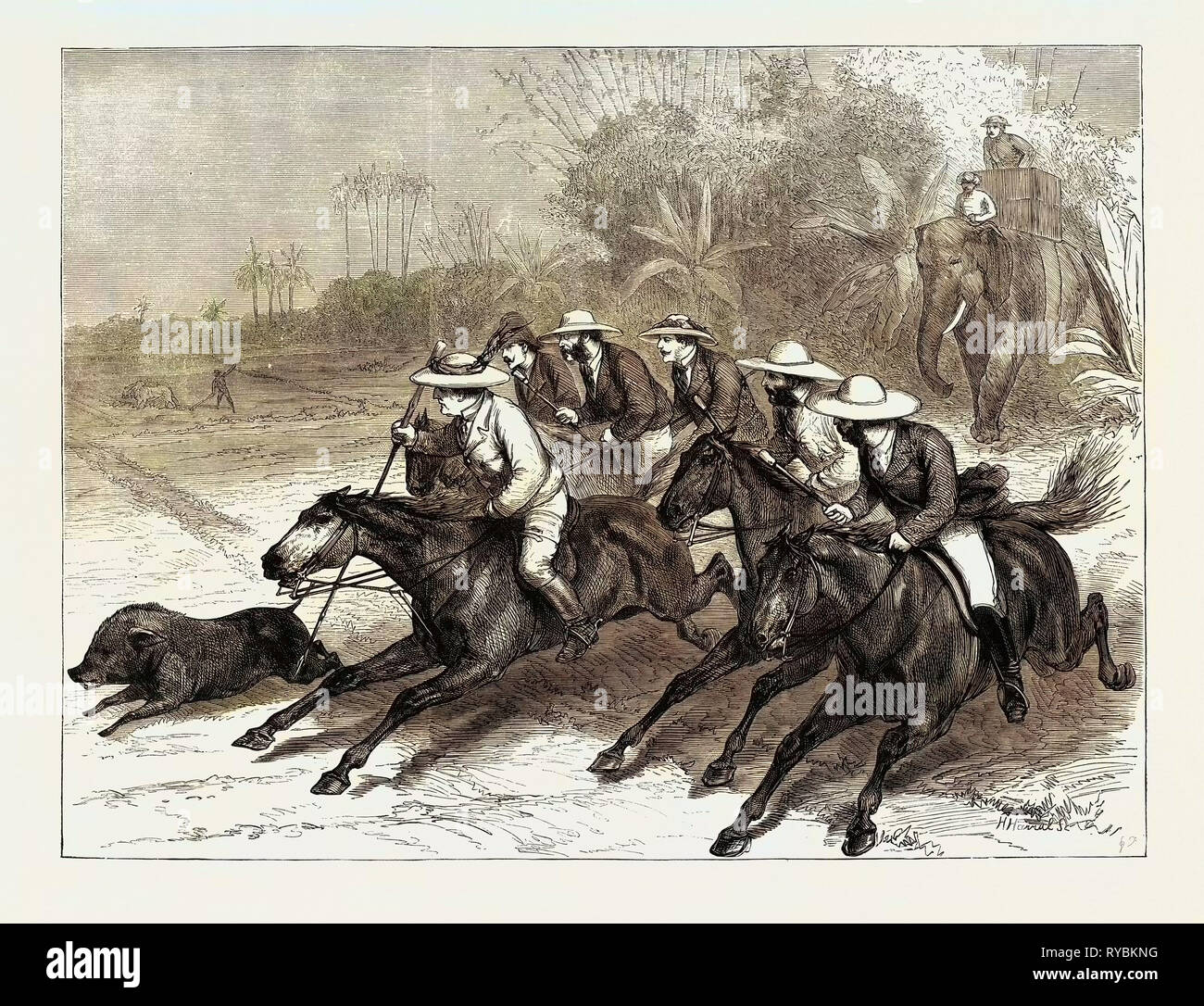 The Late Lord Mayo Hog Hunting at Pangsa, Eastern Bengal Stock Photo ...