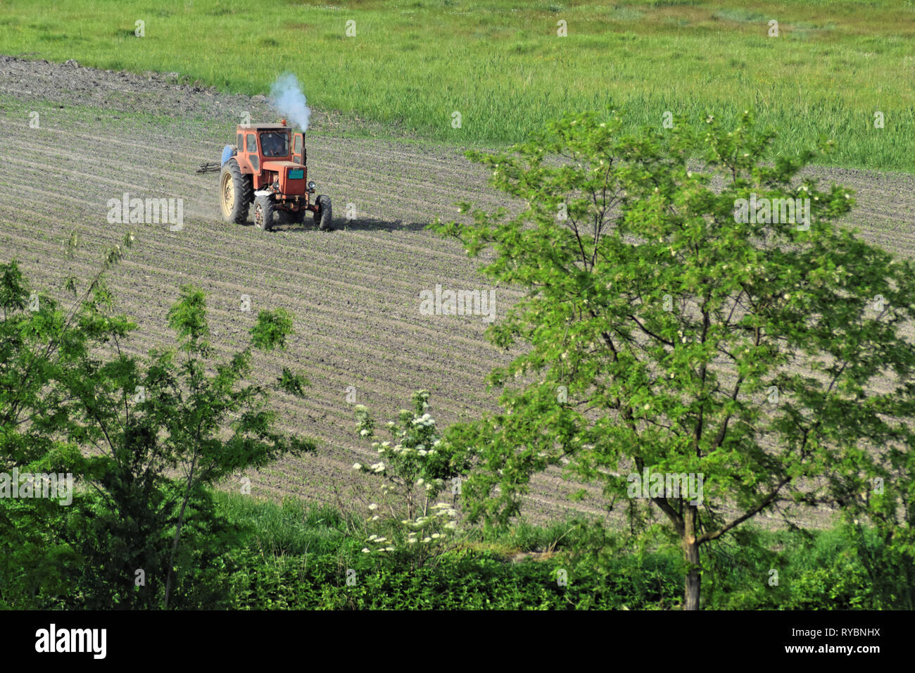 Farmer working field during hi-res stock photography and images - Alamy