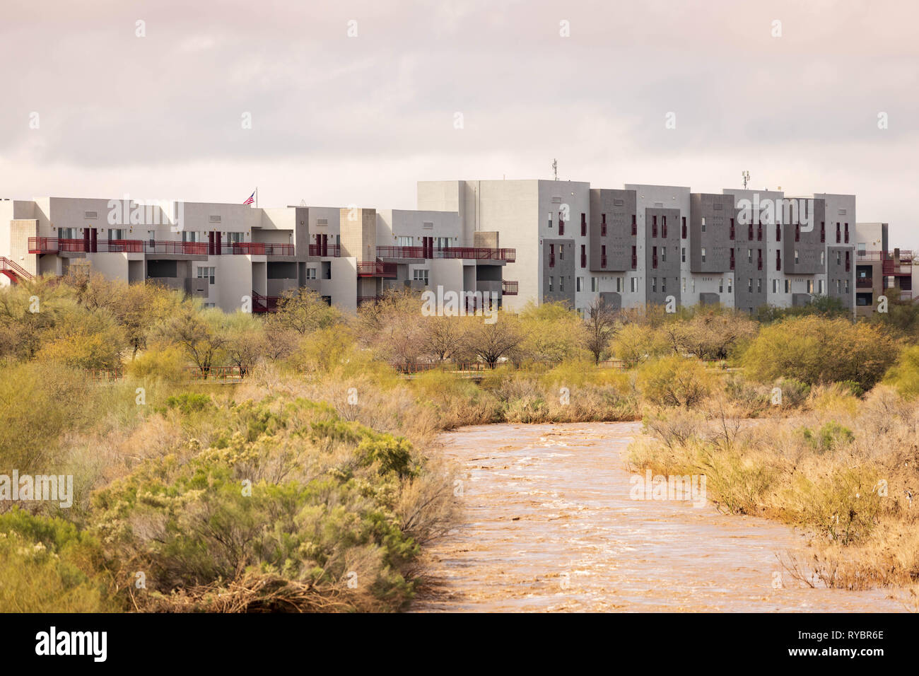 Rillito river park hi-res stock photography and images - Alamy