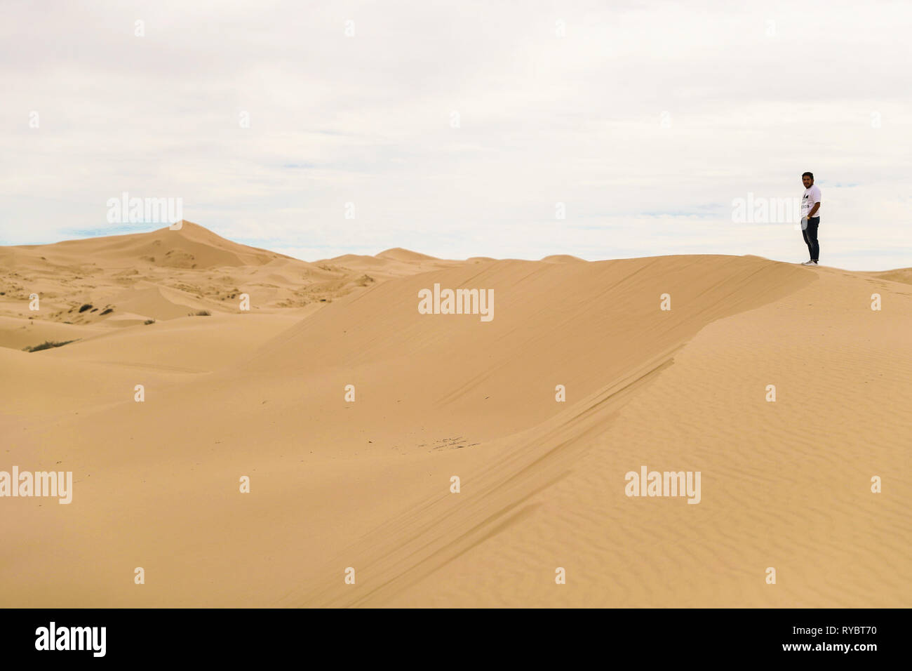 sand dunes of the Samalayuca desert, Chihuahua Mexico. 52 km south of ...