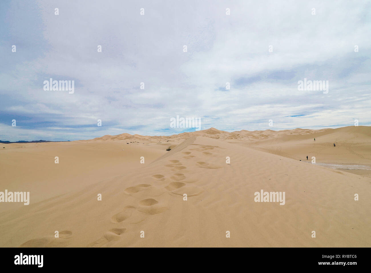 sand dunes of the Samalayuca desert, Chihuahua Mexico. 52 km south of ...