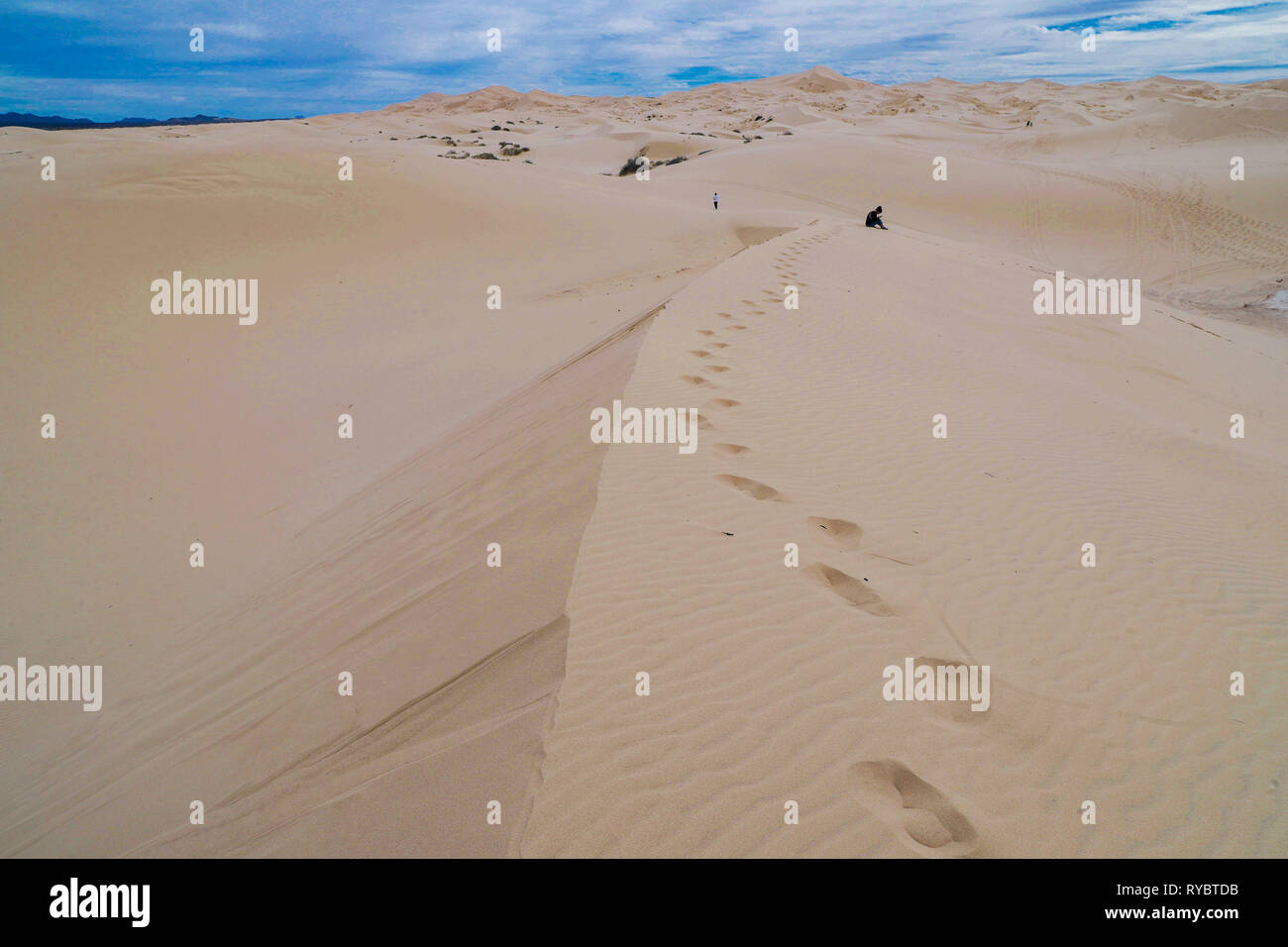 sand dunes of the Samalayuca desert, Chihuahua Mexico. 52 km south of ...