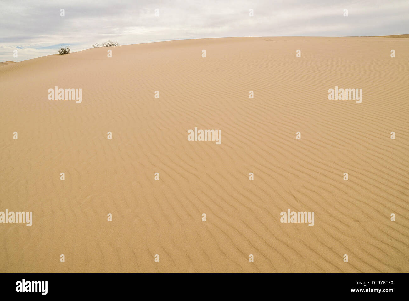 Desierto de samalayuca hi-res stock photography and images - Alamy