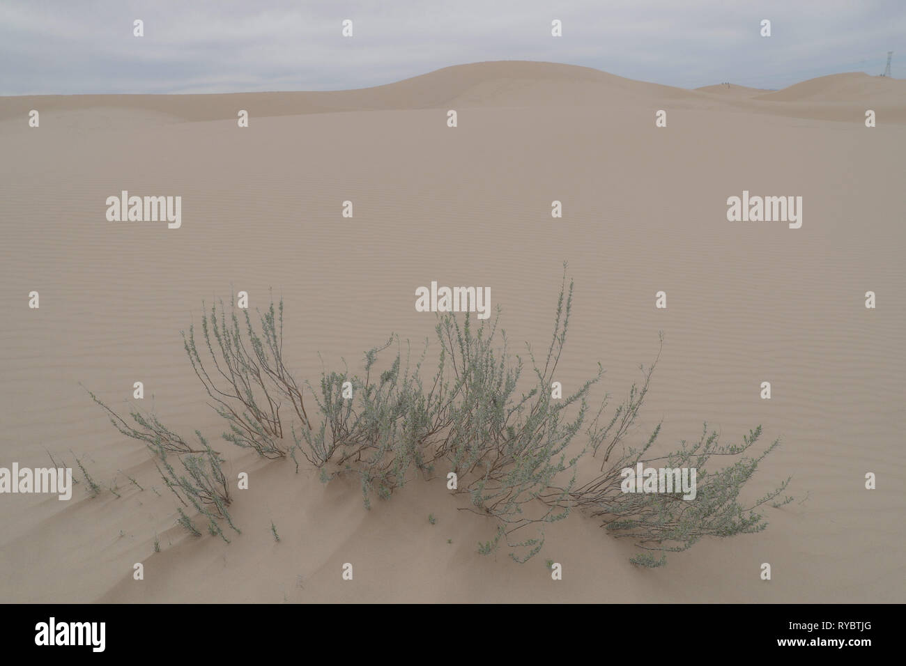 Desierto de samalayuca hi-res stock photography and images - Alamy