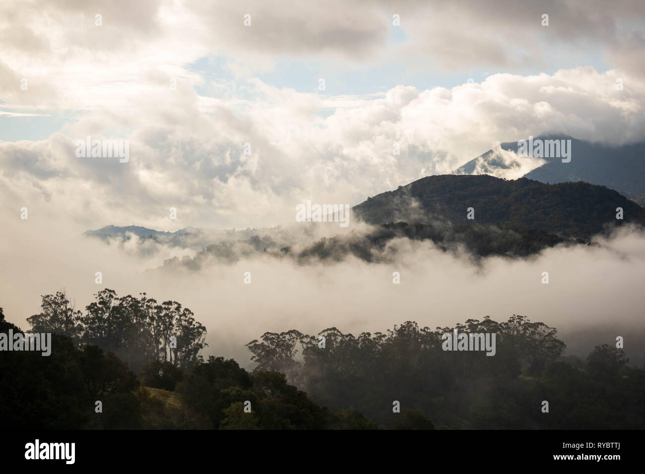 Early morning fog and mist rise over forested hills Stock Photo - Alamy