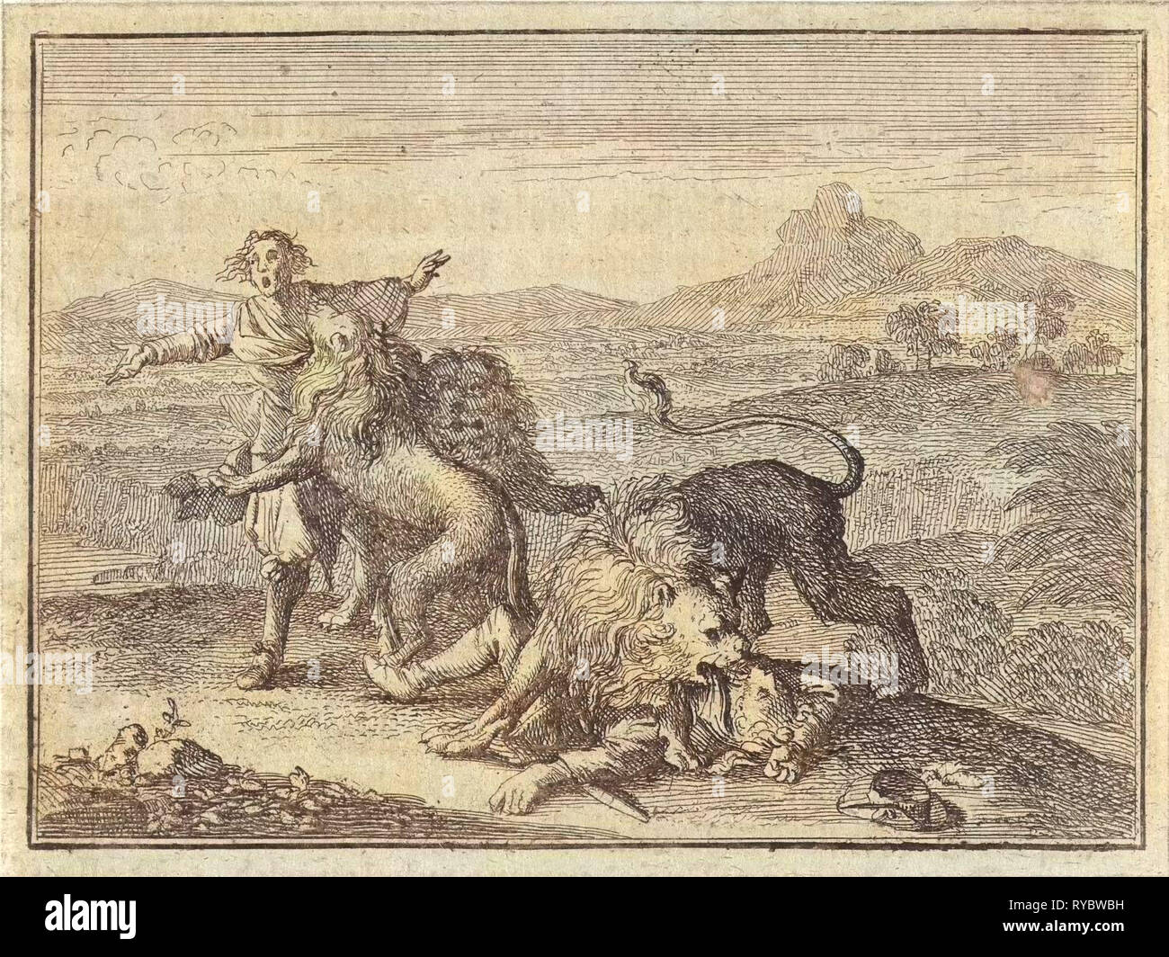 Two Abyssinian nobles being devoured by lions on the field that they ...