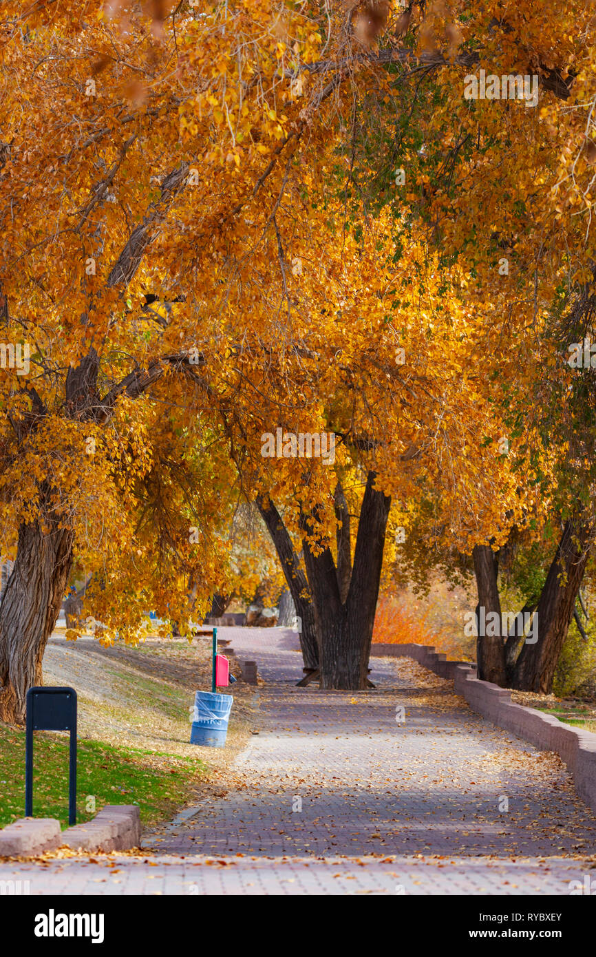 Cobblestone path hi-res stock photography and images - Alamy