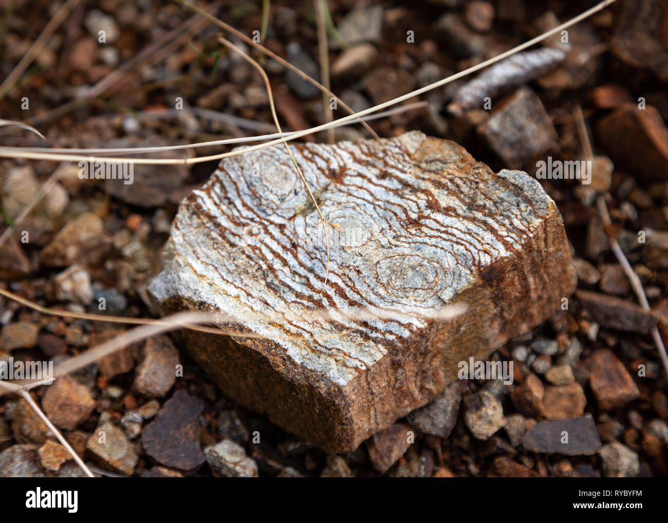 Textures in hi-res stock photography and images - Alamy