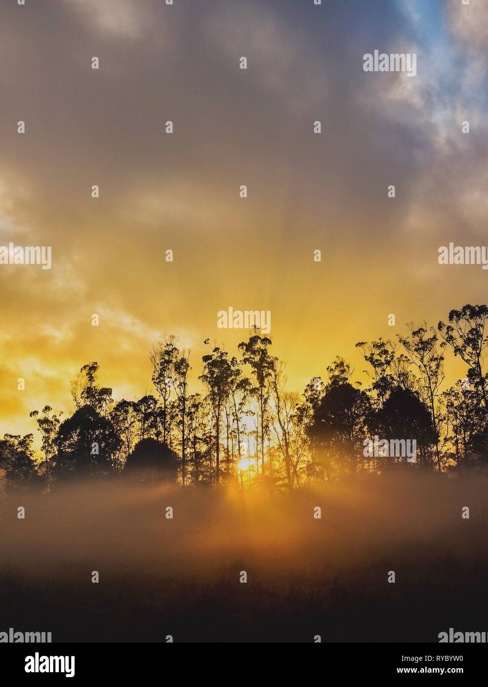 Sunrise in Ranca Upas, Bandung Stock Photo - Alamy