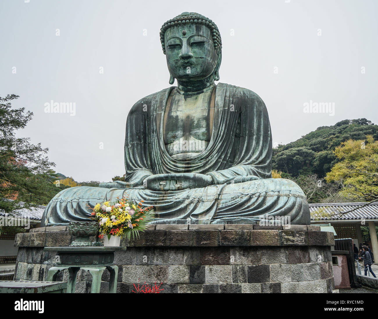 Kamakura, Japan - Feb 8, 2014. View of Great Buddha (Daibutsu) in ...