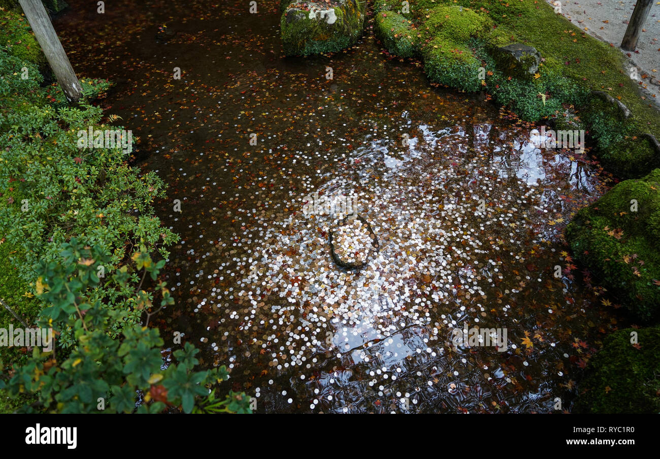 Japanese water blessing hi-res stock photography and images - Alamy