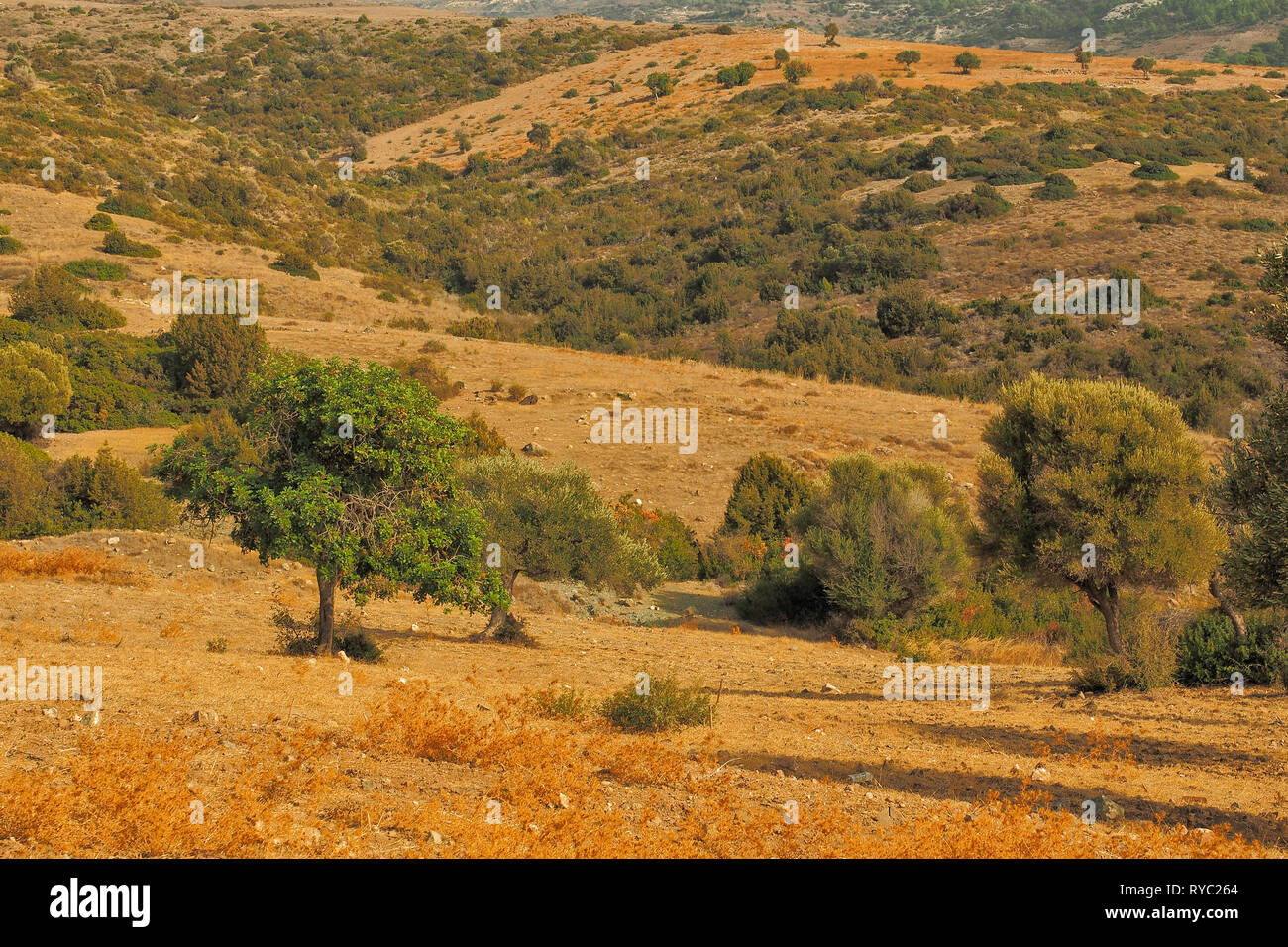 Akamas cyprus spring hi-res stock photography and images - Alamy