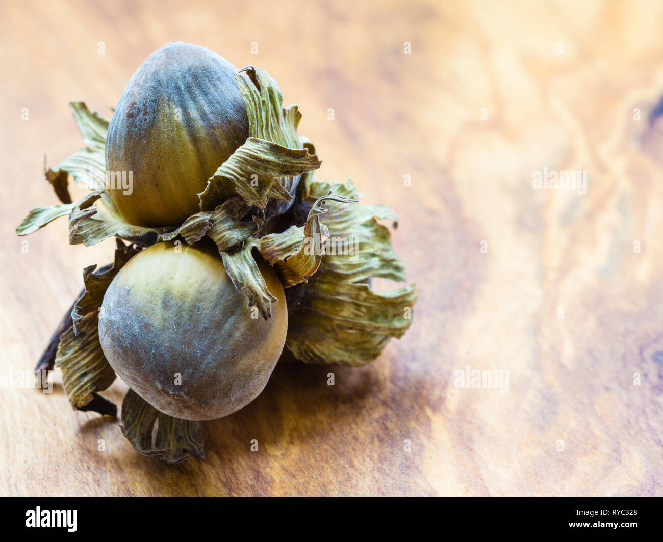 Healthy food full of fatty acids, organic nutrition. Hazelnuts cluster ...