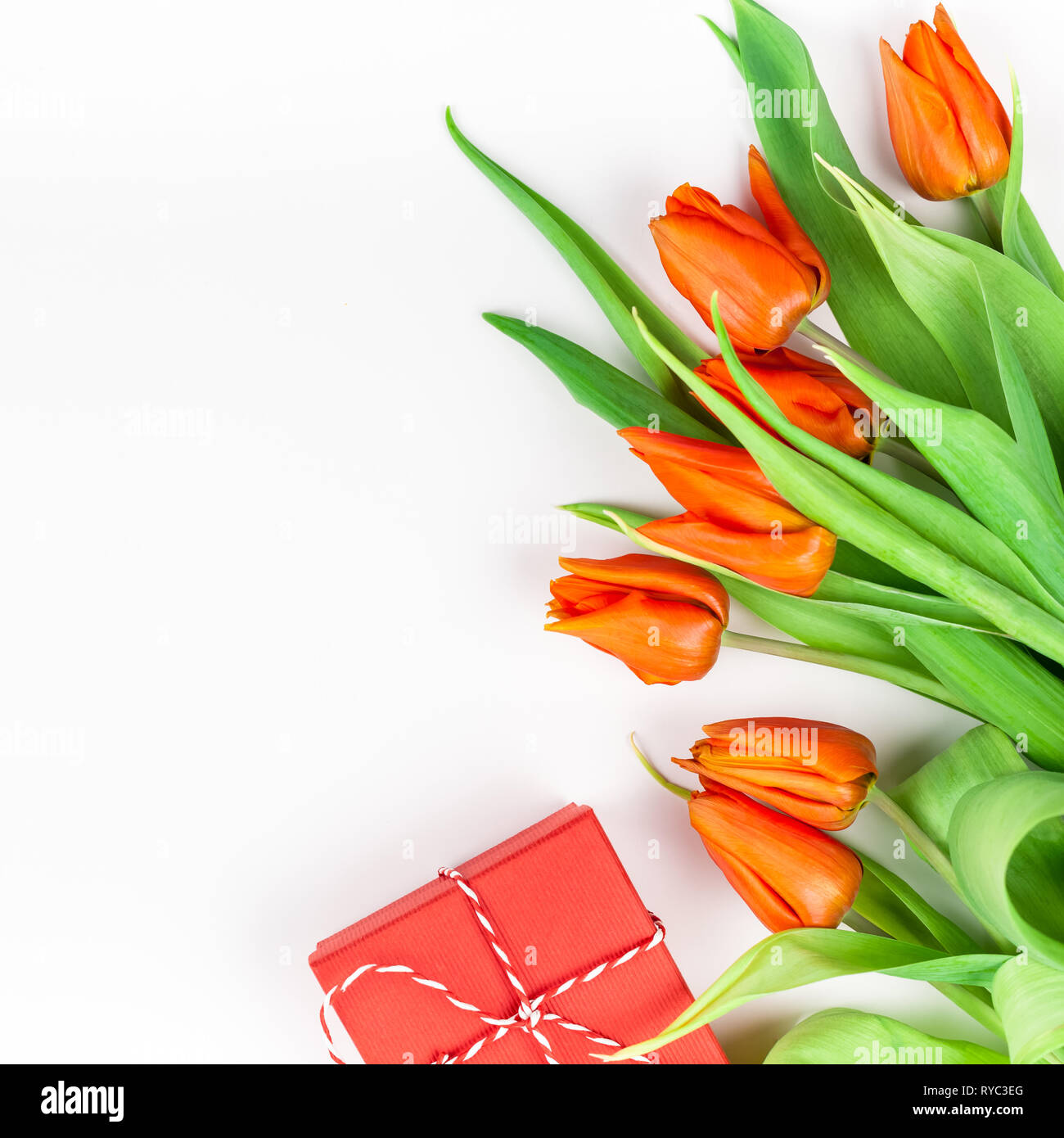 Square Creative flat lay top view welcome spring greeting card with red ...