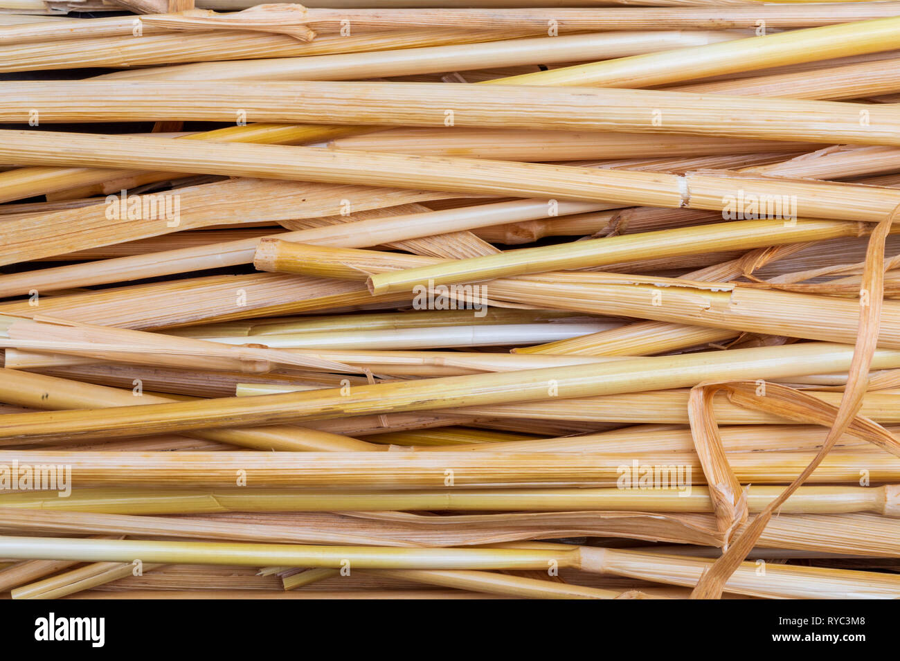Straw texture (collection of vegetable and natural fibers). Foreground ...