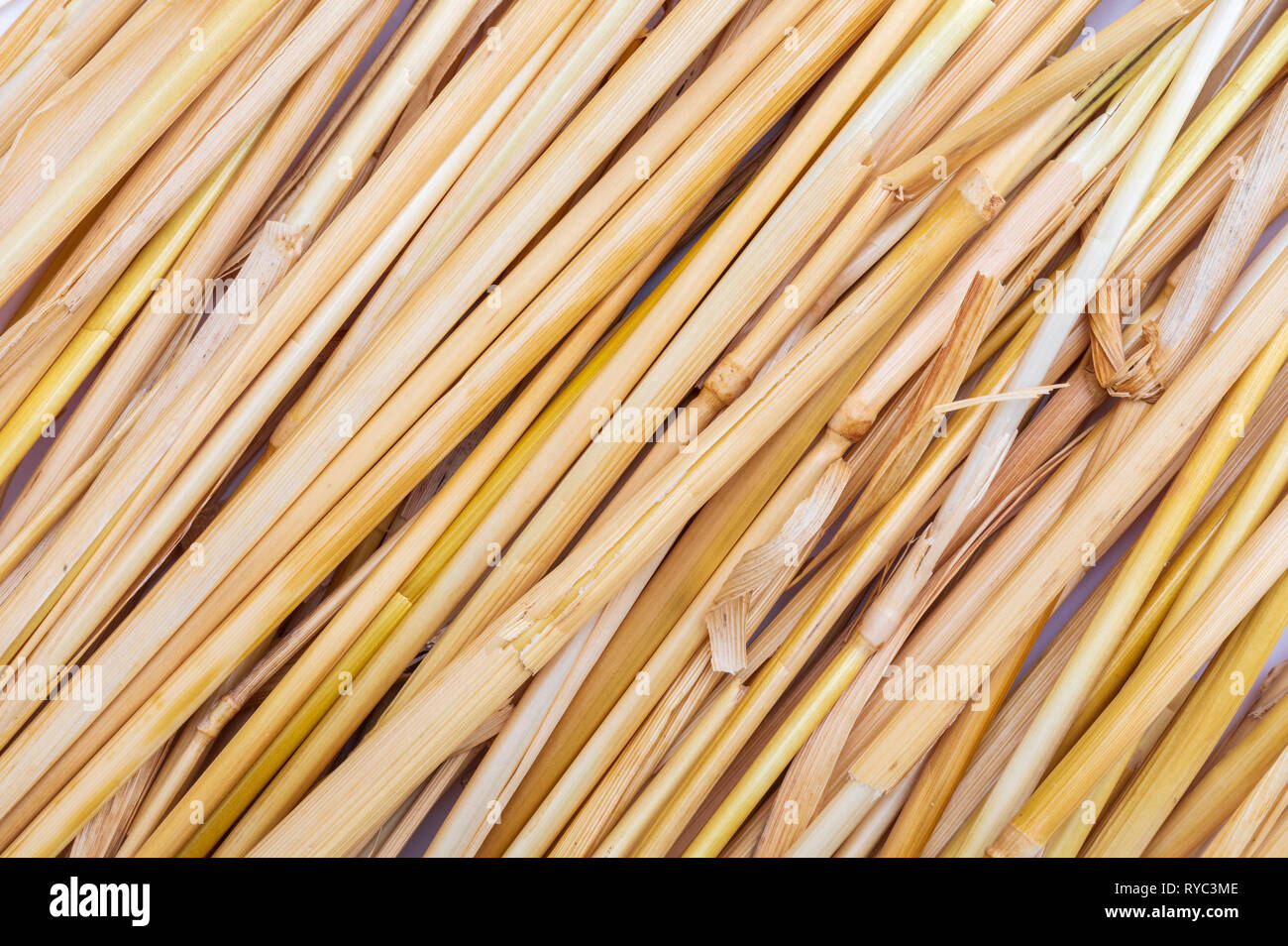 Straw texture (collection of vegetable and natural fibers). Foreground ...