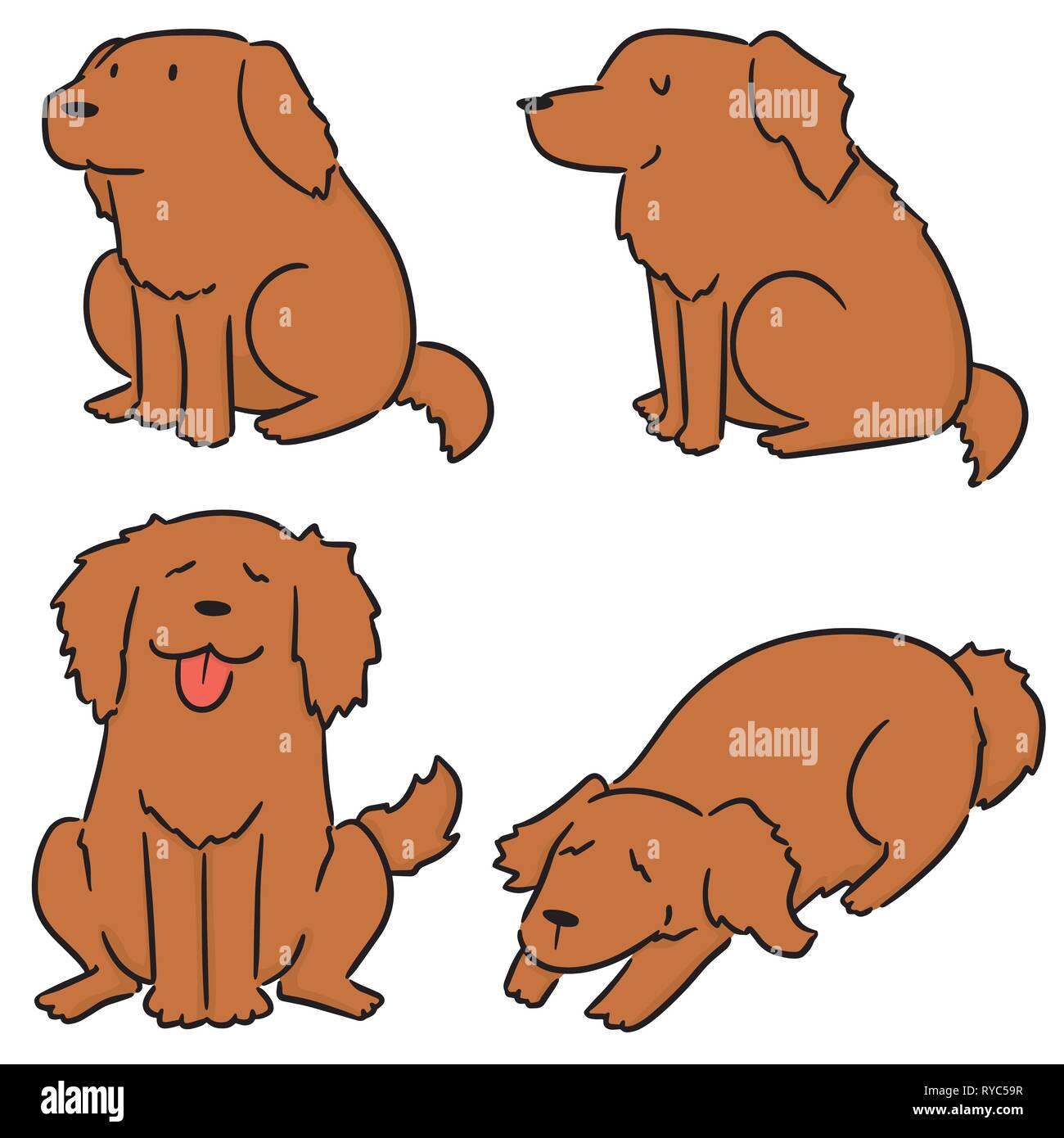 Creative drawing golden retriever hi-res stock photography and images ...