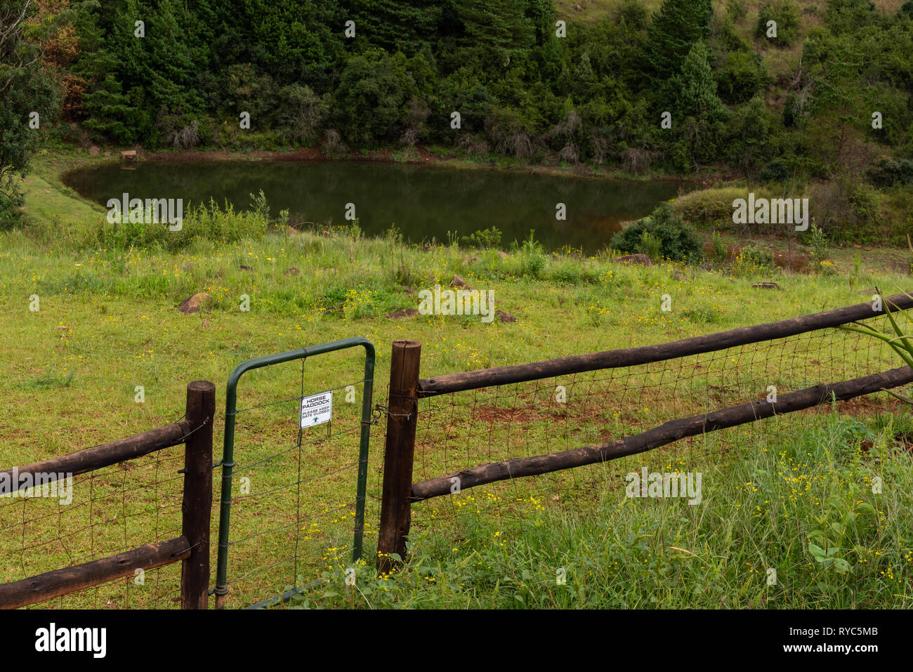 A rural horse paddock with trees and a small lake Stock Photo - Alamy