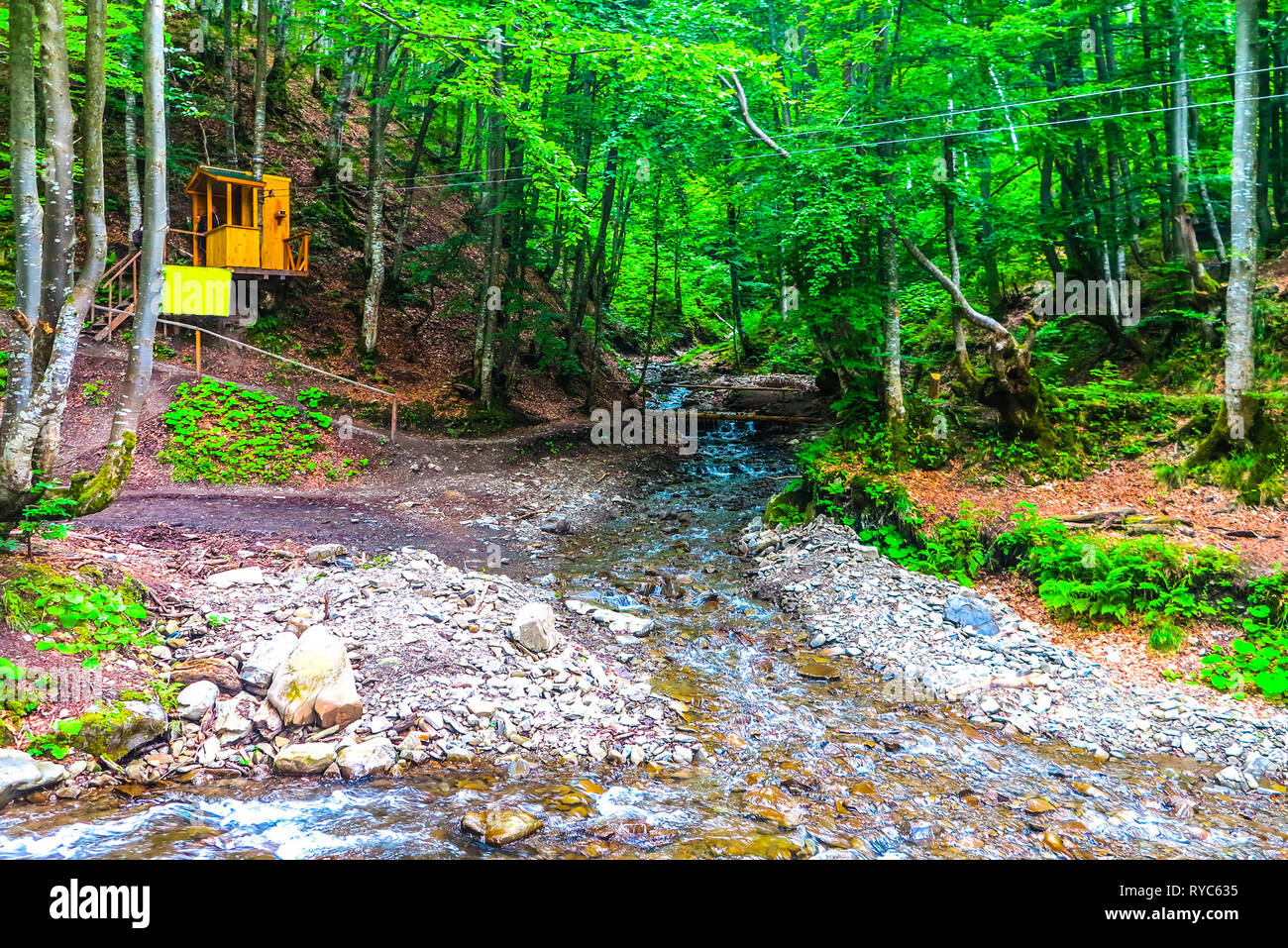 Typical ukrainian nature hi-res stock photography and images - Alamy