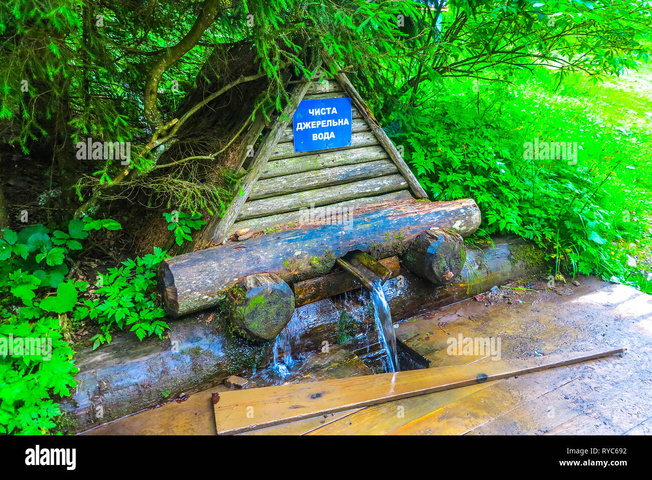 Synevir National Park Lake Clean Spring Water in the Ukrainian ...