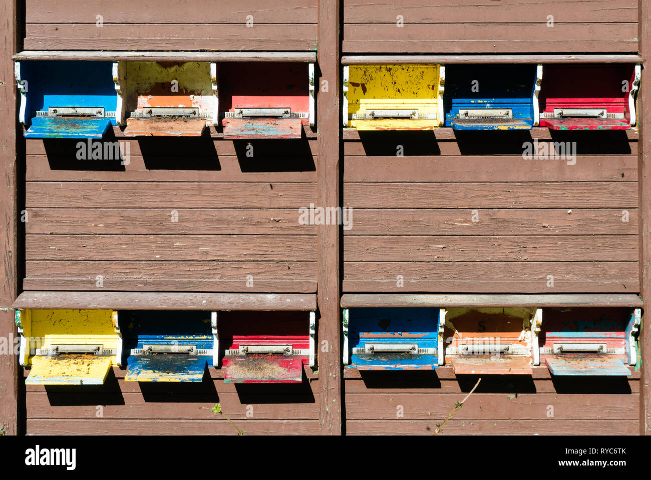 bee hives and entry doors in many colors in a beehive beehouse Stock ...