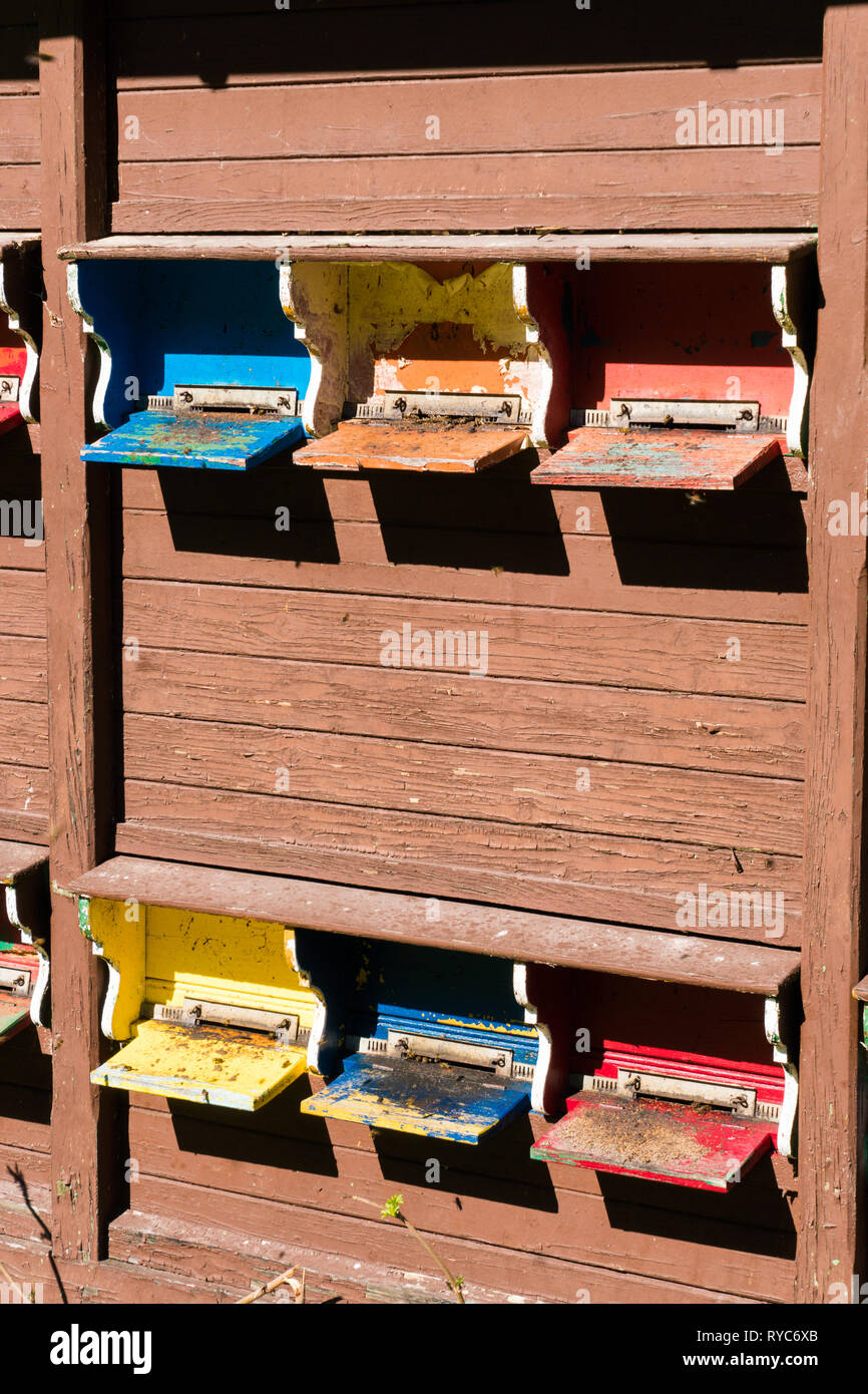 bee hives and entry doors in many colors in a beehive beehouse Stock ...