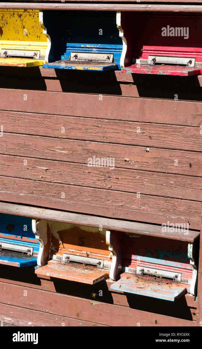 bee hives and entry doors in many colors in a beehive beehouse Stock ...