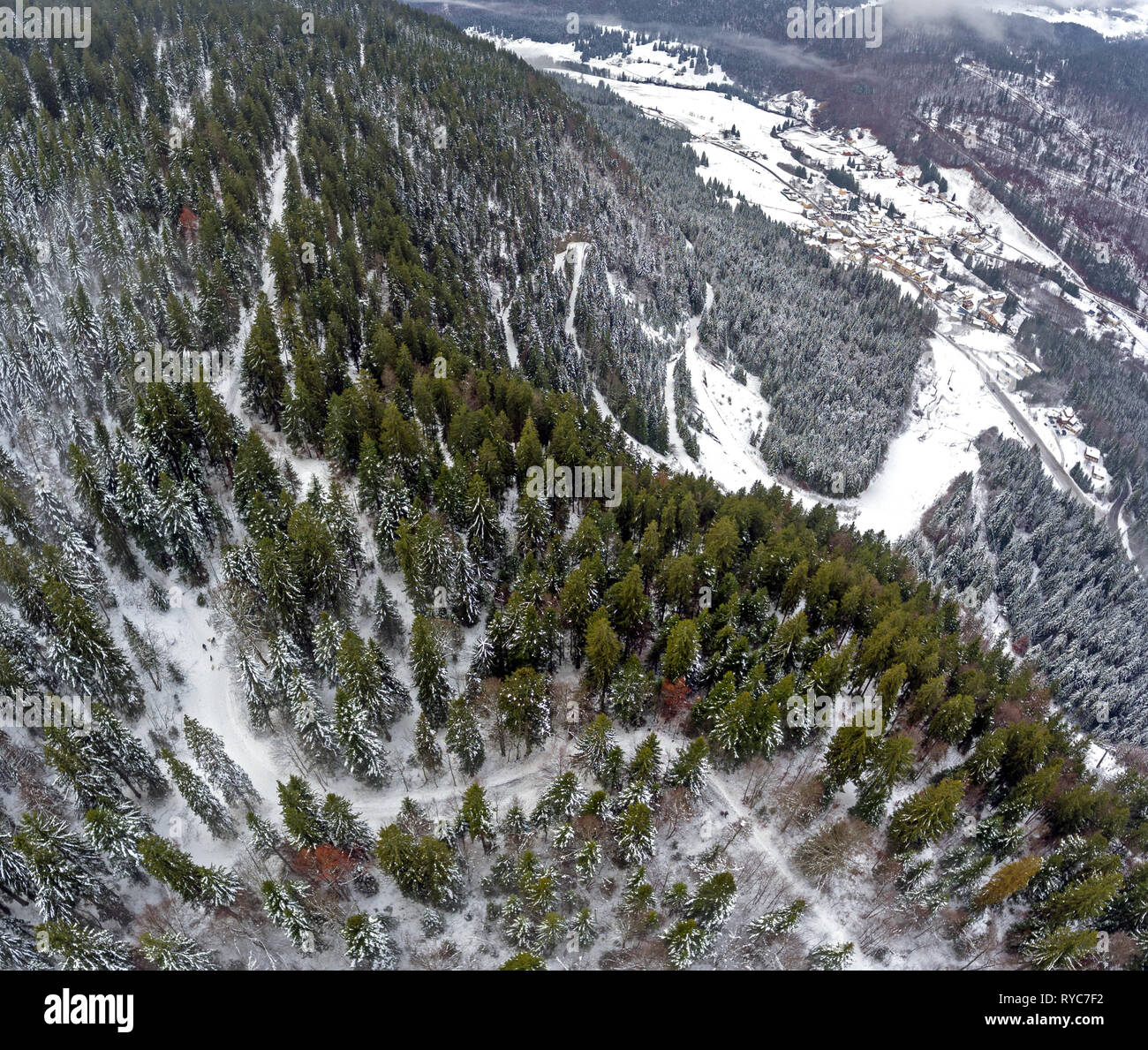 Stunning drone shot of a snowy alpine forest. The top down drone shot ...