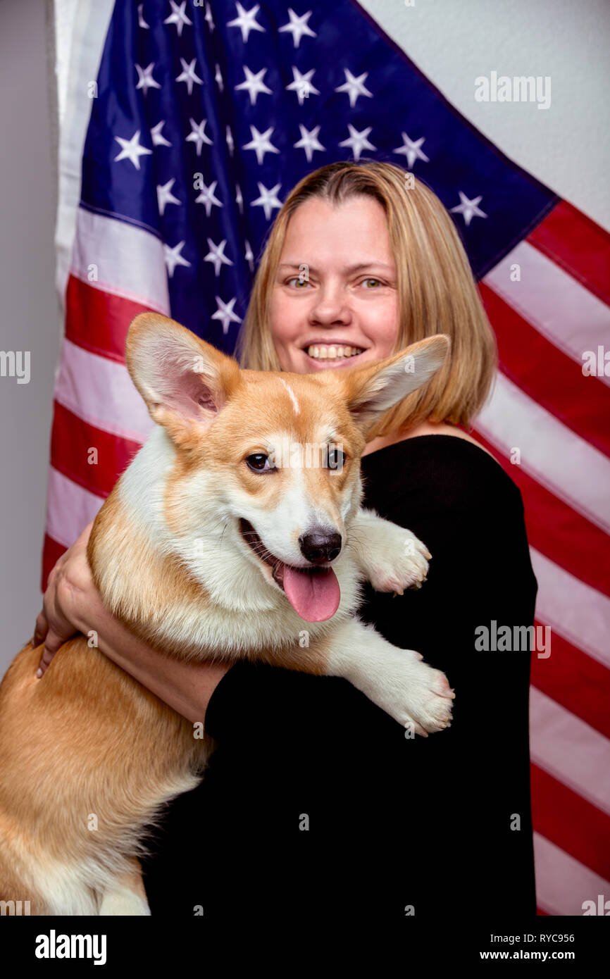The dog lies on against american flag background the shoulder of its ...