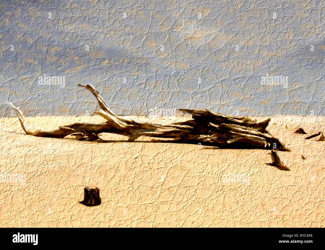 Dried tree hi-res stock photography and images - Alamy
