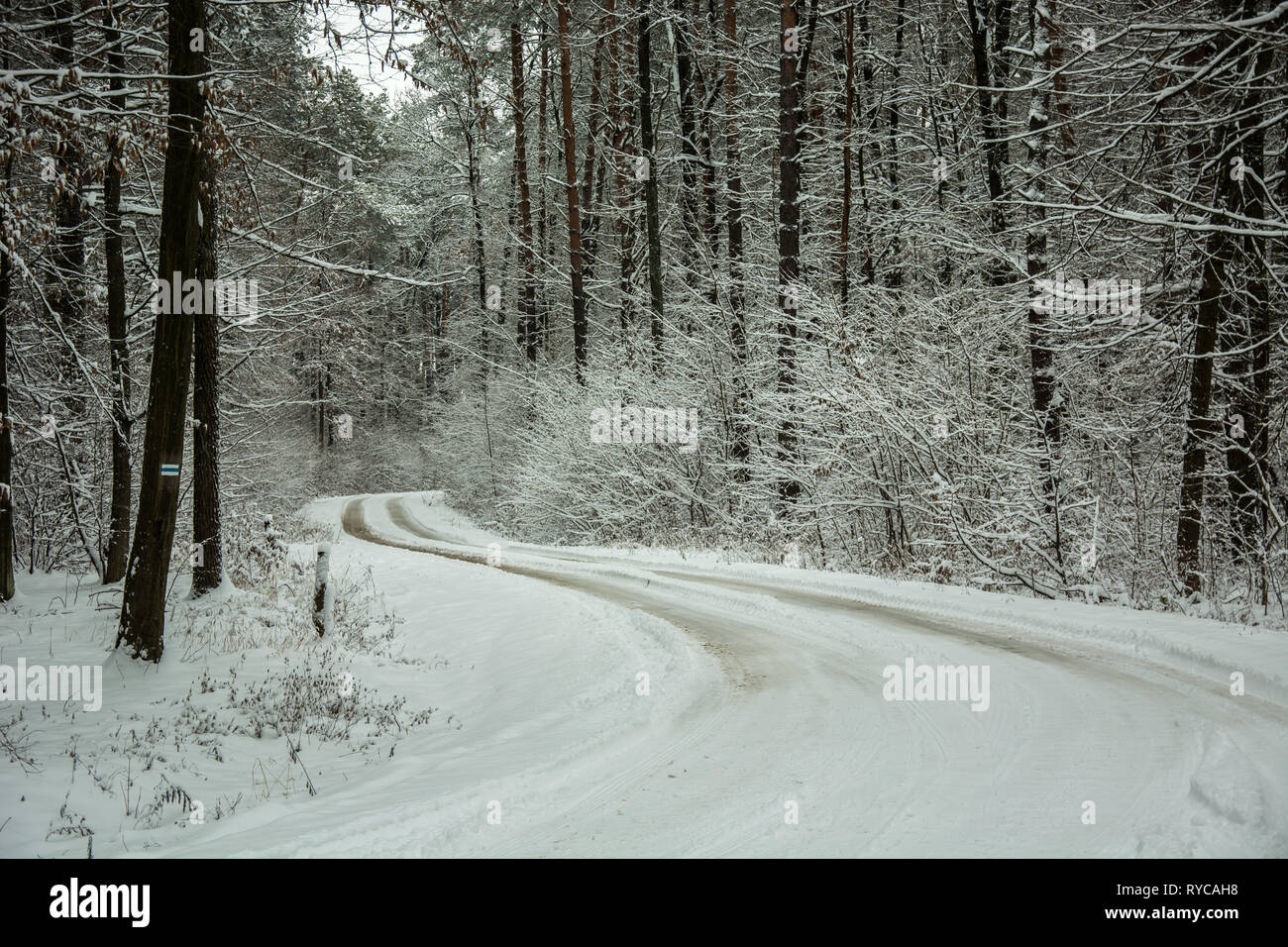 Winding snowy road through beauty forest - view in winter day Stock ...