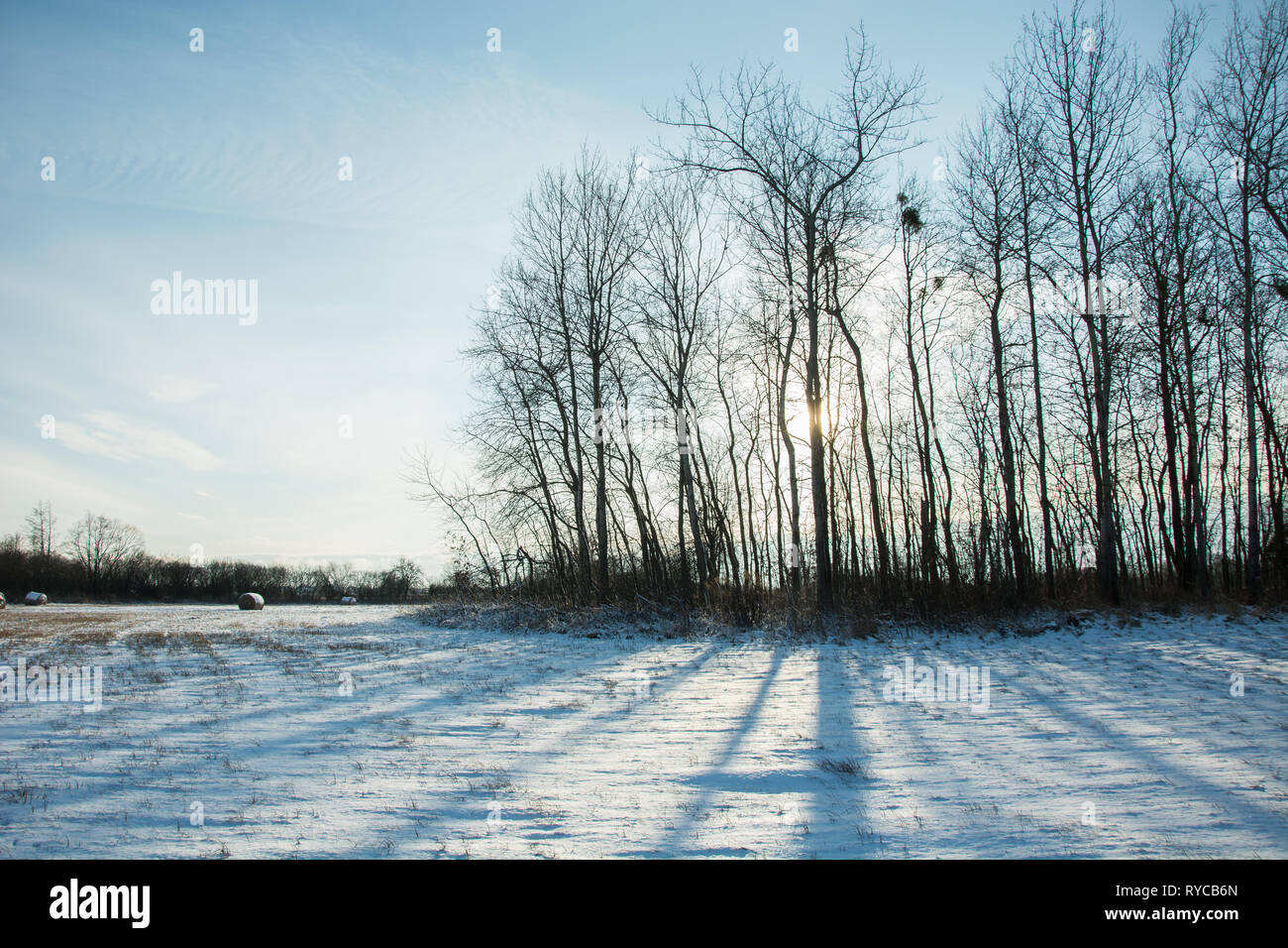 Sun behind trees and shadows on snow, clouds on blue sky Stock Photo ...