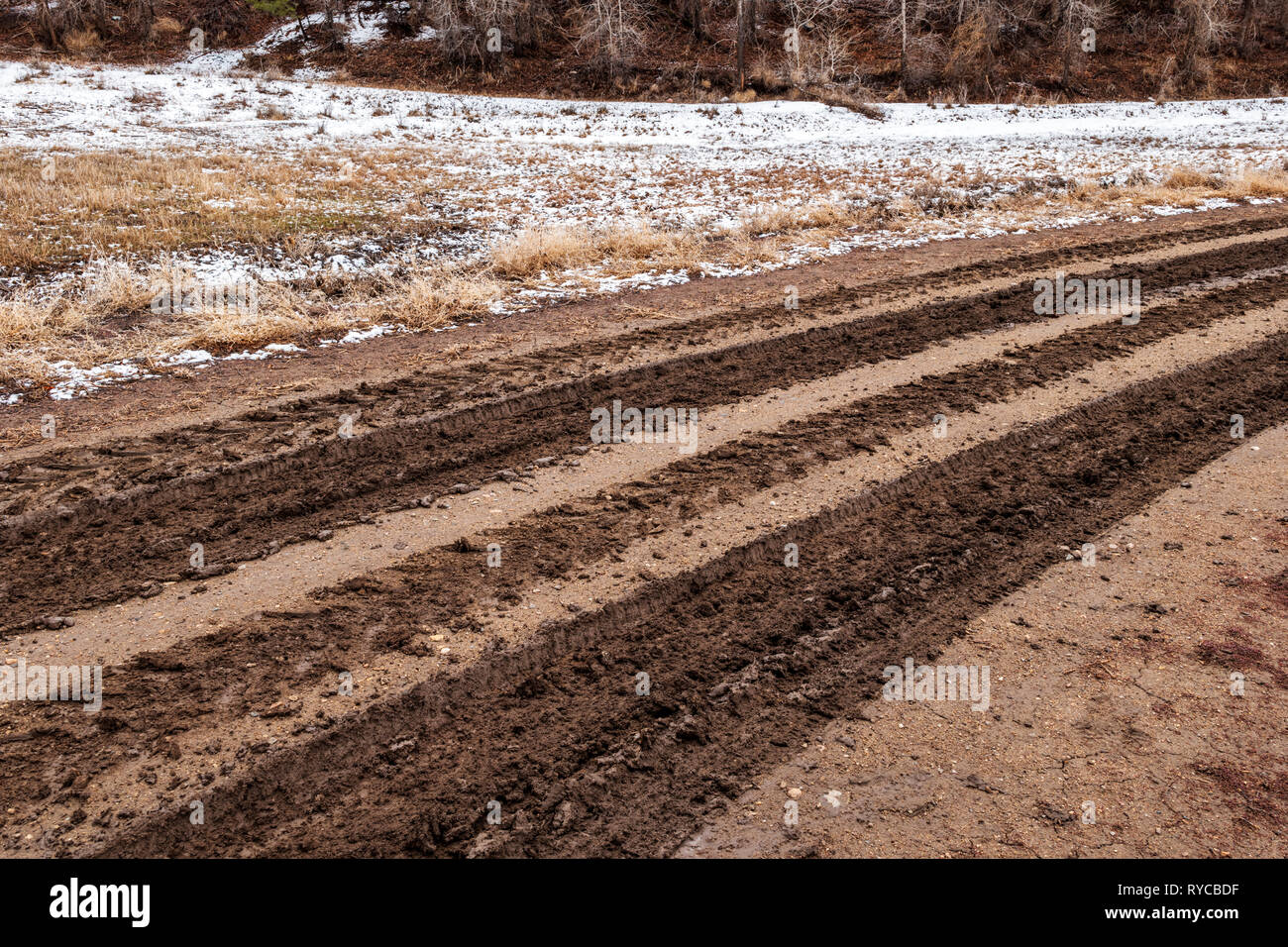 Muddy tire tracks on a ranch dirt road; central Colorado; USA Stock ...