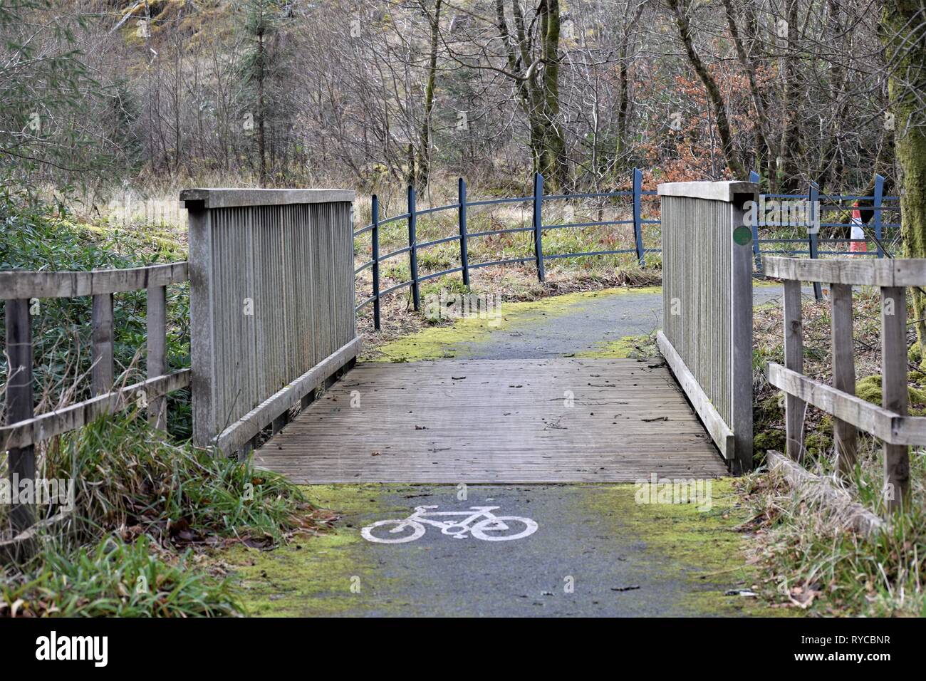 Wooden bridge and rails on the Sustrans National Cycle Network near the ...