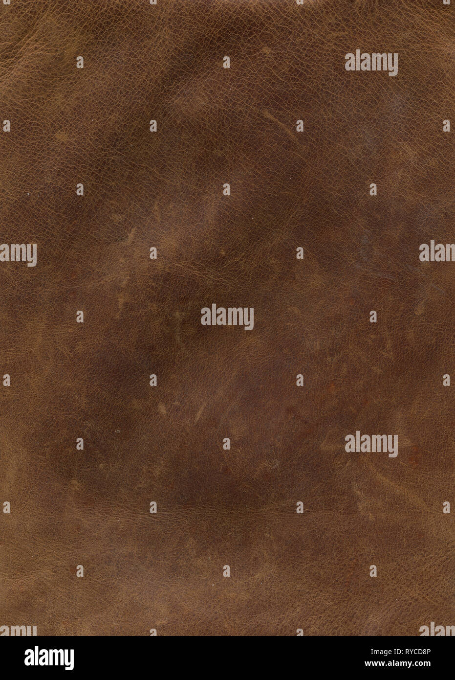 Parchment leather hi-res stock photography and images - Alamy