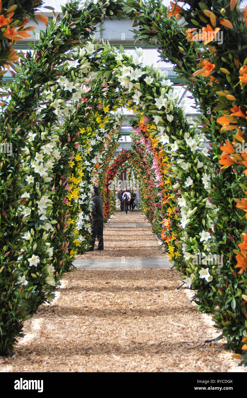 Most Beautiful Flower Garden Arch