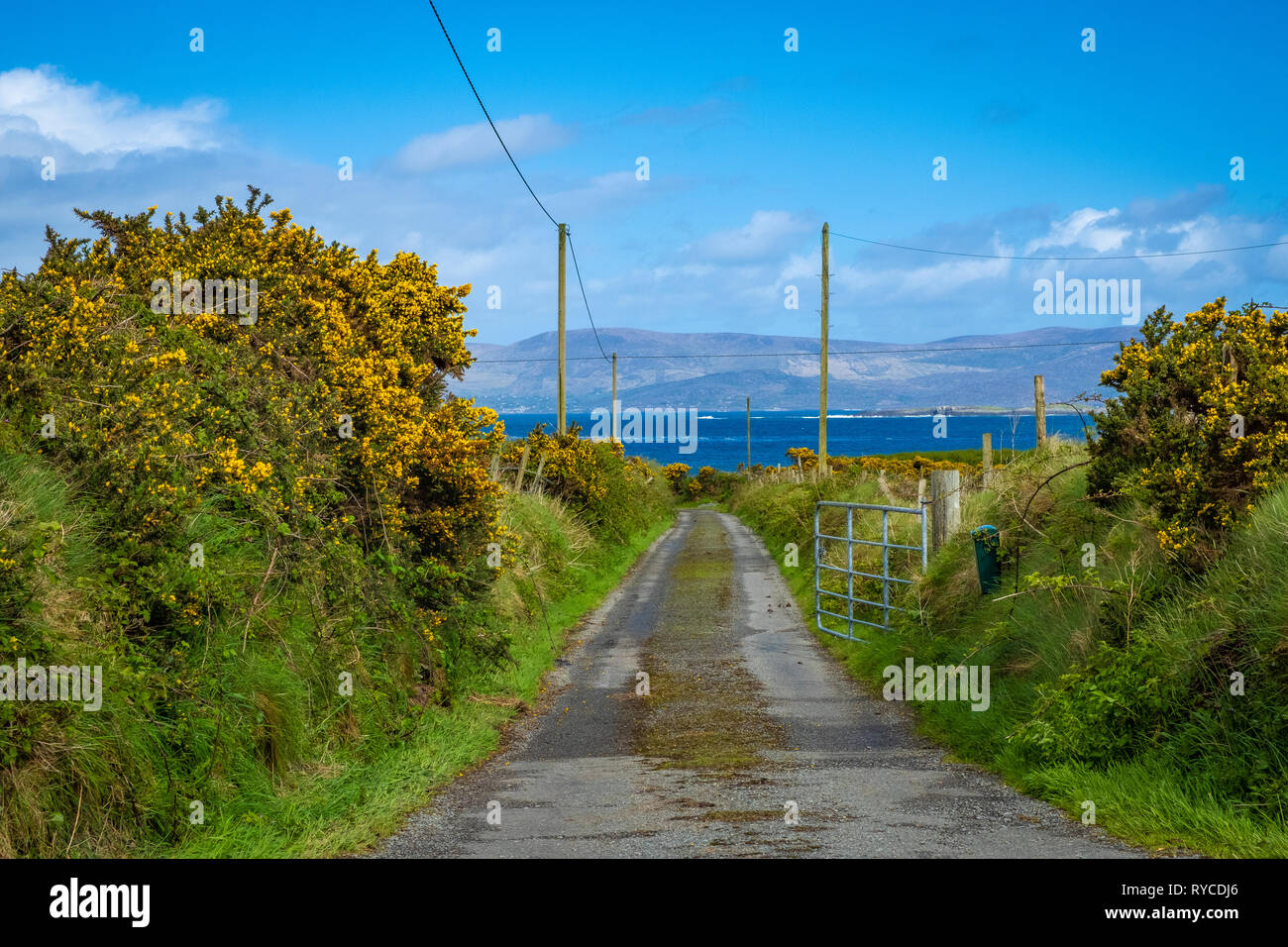 Ardgroom Stock Photos & Ardgroom Stock Images - Alamy